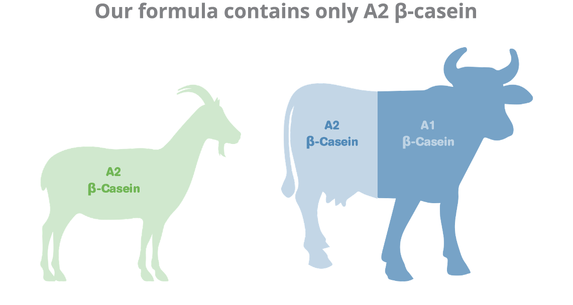 Gentle digestion - Dairy Goat Co-operative